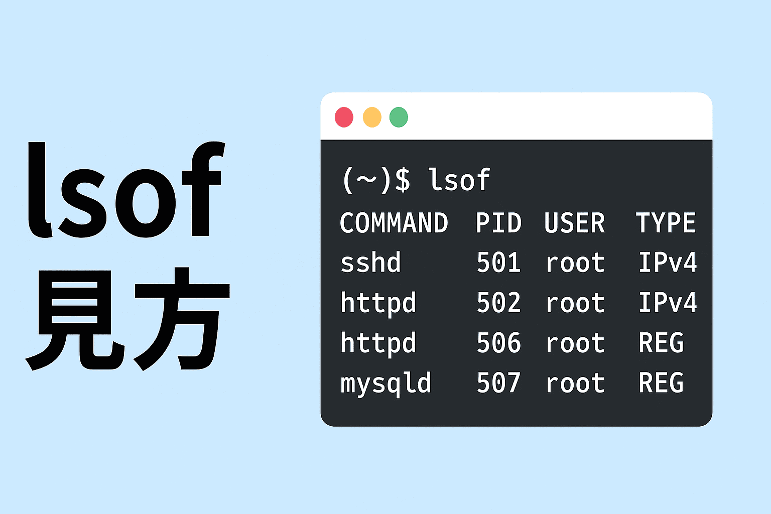 【Linux】lsofコマンドの見方・活用ガイド｜IT技術ライフ